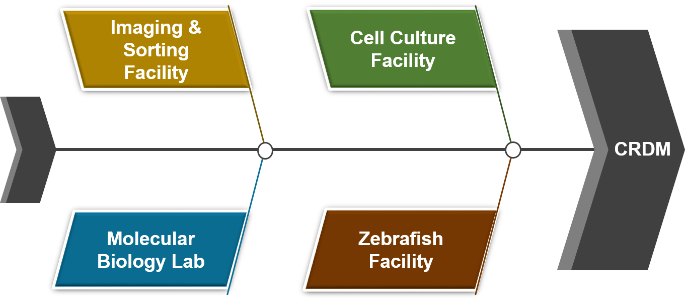 Facilities @CRDM – Dr.Reddy's Institute of Life Sciences